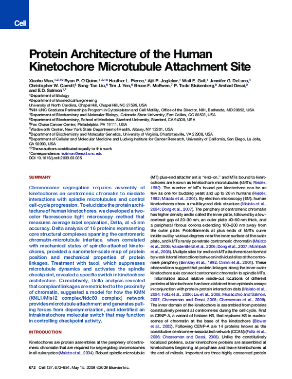 (PDF) Protein Architecture of the Human Kinetochore Microtubule Attachment Site