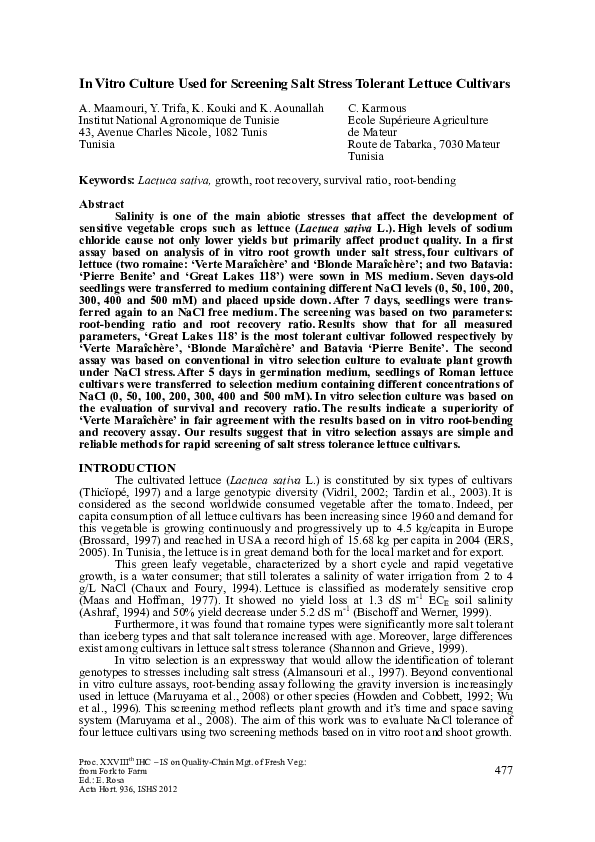 (PDF) In Vitro Culture Used for Screening Salt Stress Tolerant Lettuce ...