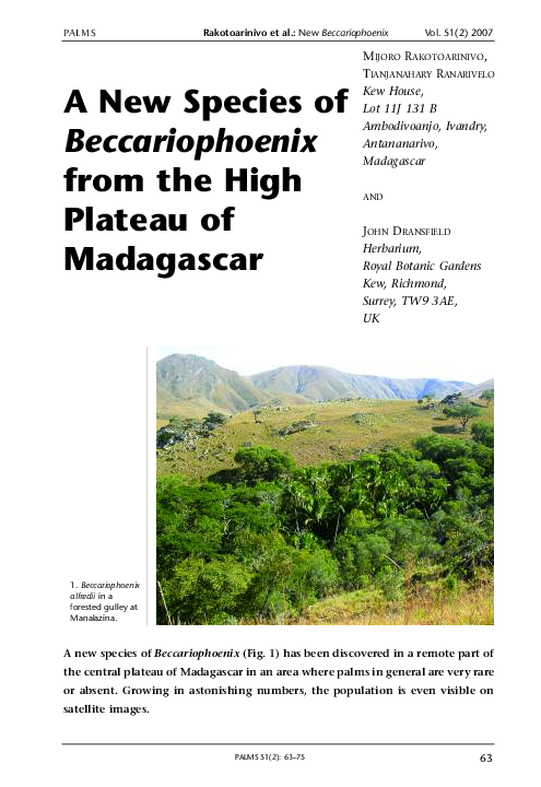 (PDF) A new species of Beccariophoenix from the High Plateau ofMadagascar