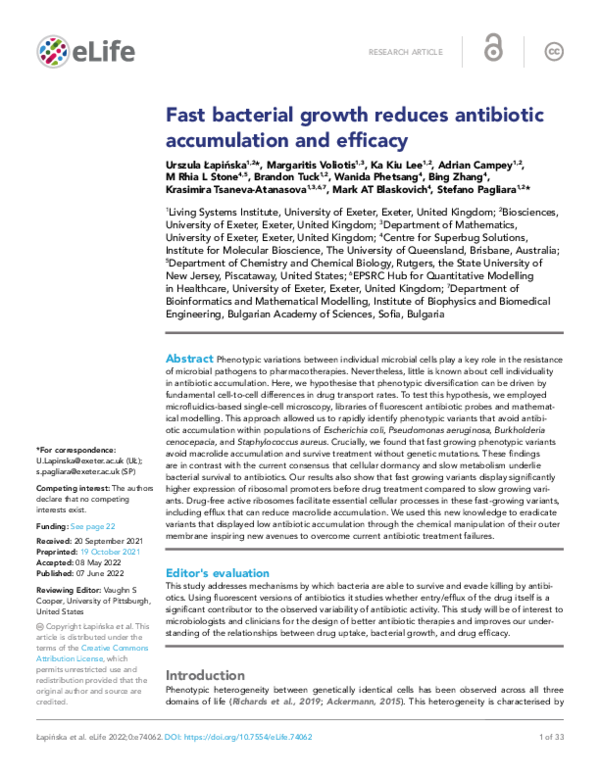 (PDF) Fast bacterial growth reduces antibiotic accumulation and efficacy