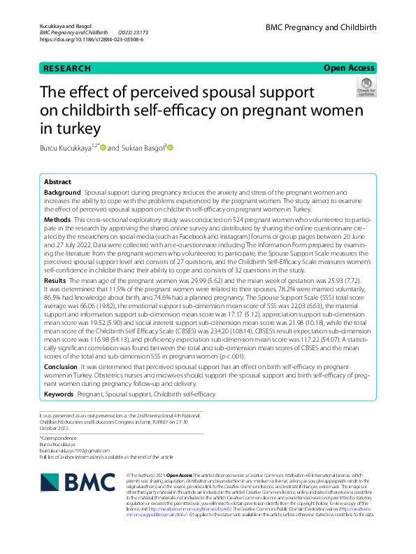 (PDF) The effect of perceived spousal support on childbirth self-efficacy on pregnant women in ...