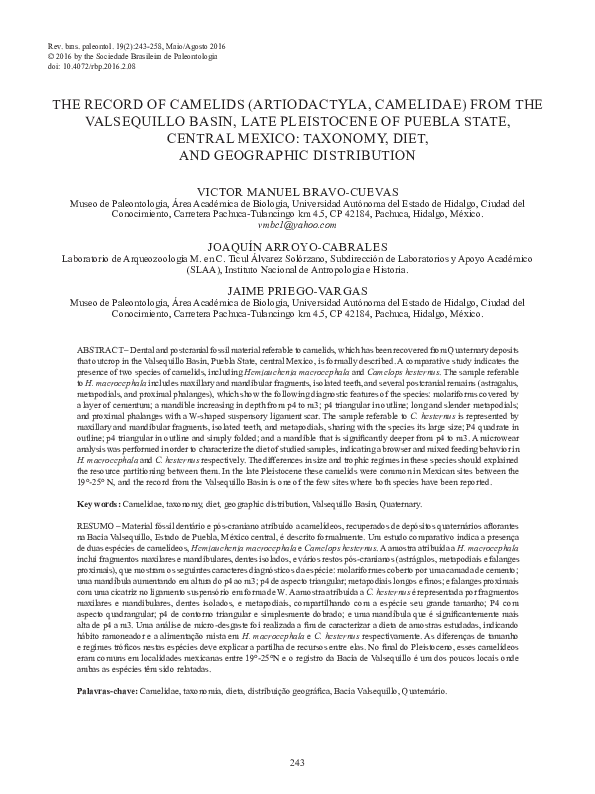 (PDF) The record of camelids (Artiodactyla, Camelidae) from the ...