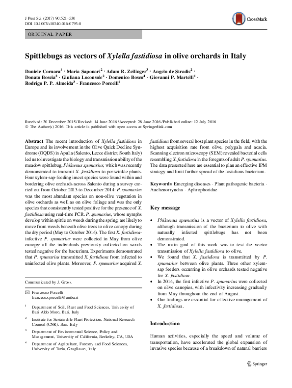 (PDF) Spittlebugs as vectors of Xylella fastidiosa in olive orchards in ...