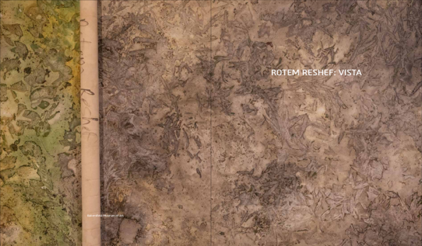 (PDF) Rotem Reshef: Vista