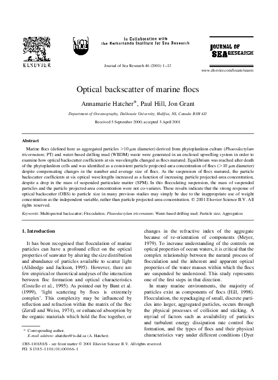 (PDF) Optical backscatter of marine flocs