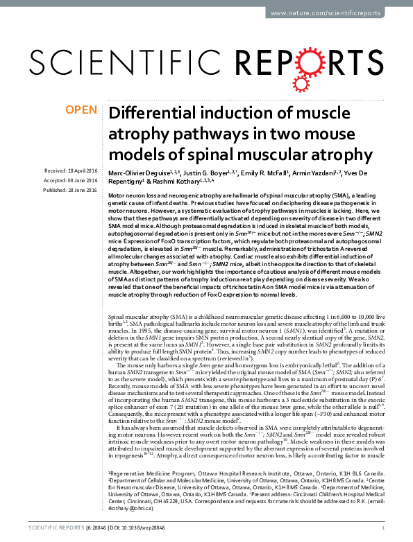 (PDF) Differential induction of muscle atrophy pathways in two mouse ...