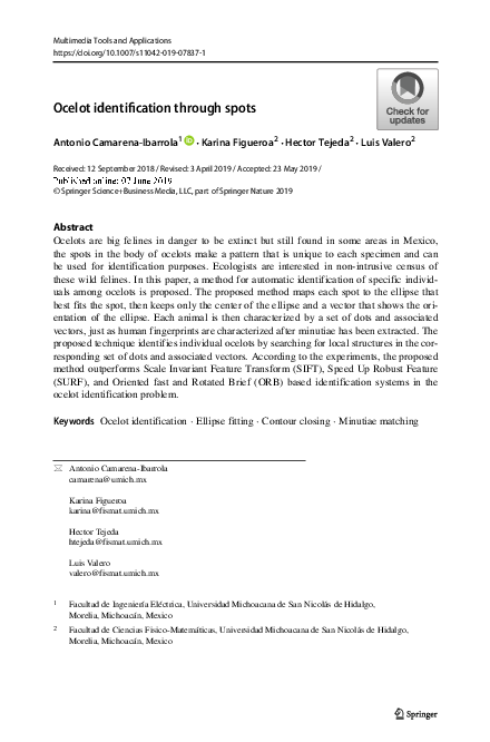 (PDF) Ocelot identification through spots