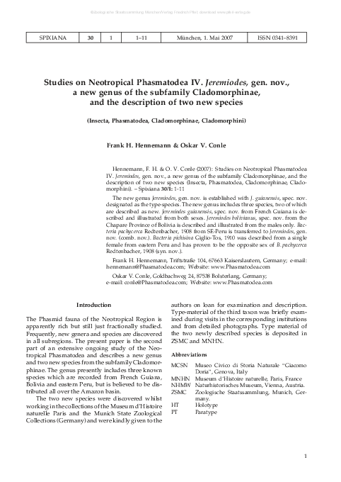 (PDF) New Genus Jeremiodes with Two New Species of Phasmatodea
