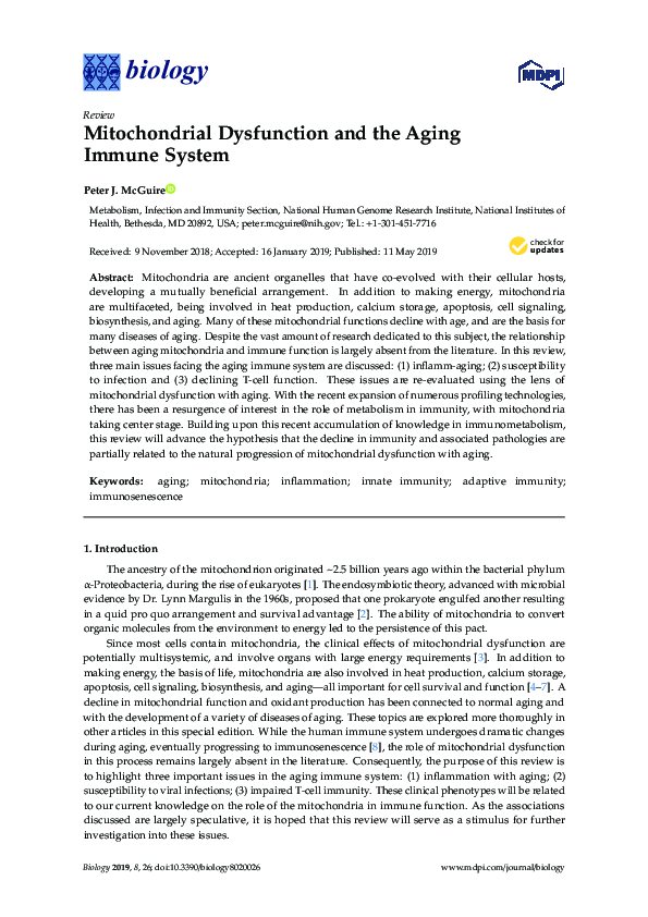 (PDF) Mitochondrial Dysfunction and the Aging Immune System