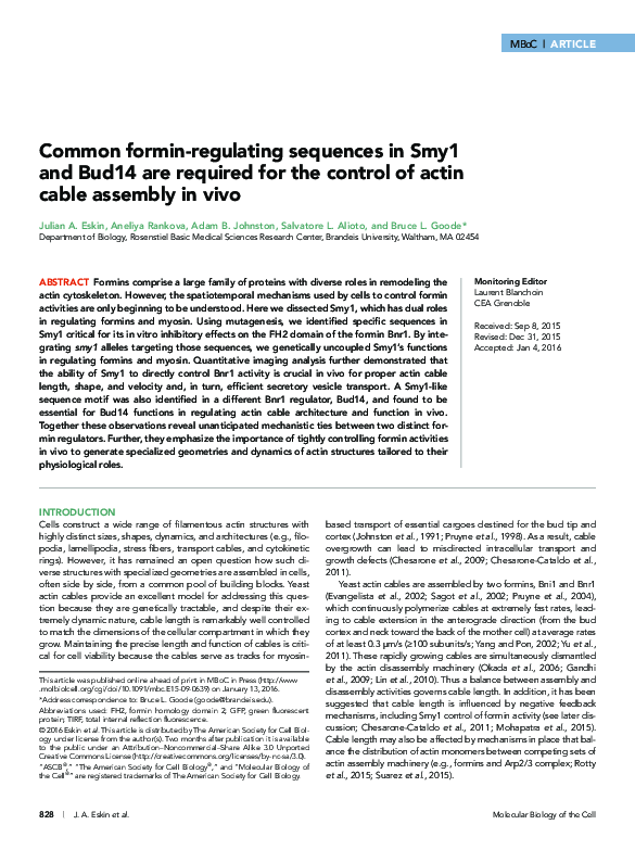 (PDF) Common formin-regulating sequences in Smy1 and Bud14 are required for the control of actin ...