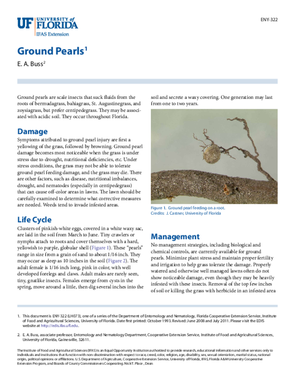 (PDF) Ground Pearls in Turfgrass 1