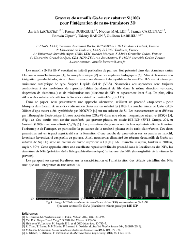 (PDF) Gravure de nanofils GaAs sur substrat Si(100) pour l'intégration ...