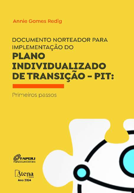 (PDF) Documento norteador para implementação do Plano Individualizado ...