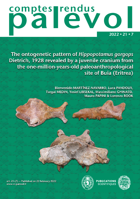 (PDF) The ontogenetic pattern of Hippopotamus gorgops Dietrich, 1928 ...