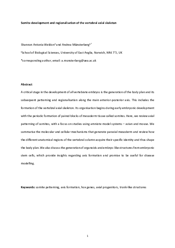 (PDF) Somite development and regionalisation of the vertebral axial ...