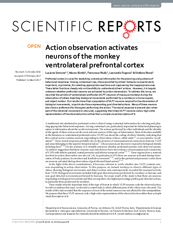(PDF) Action observation activates neurons of the monkey ventrolateral ...