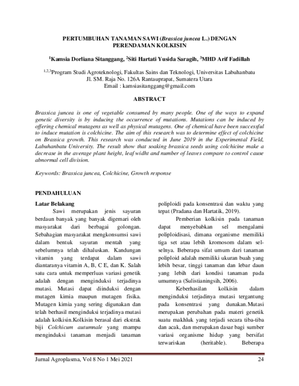 (PDF) PERTUMBUHAN TANAMAN SAWI (Brassica juncea L.) DENGAN PERENDAMAN ...