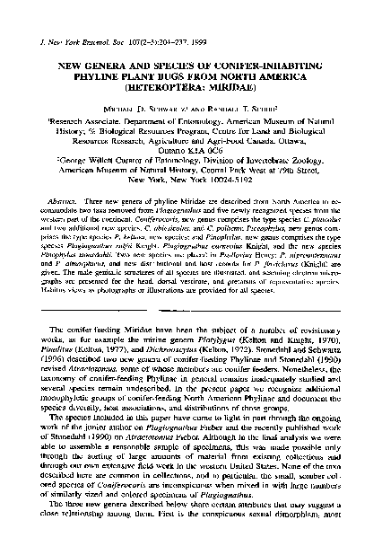 (PDF) New genera and species of conifer-inhabiting phyline plant bugs ...