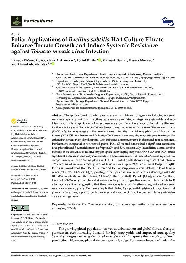 (PDF) Foliar Applications of Bacillus subtilis HA1 Culture Filtrate Enhance Tomato Growth and ...