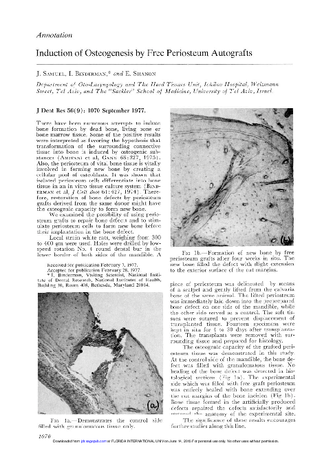 (PDF) Free Periosteum Autografts Induce Osteogenesis