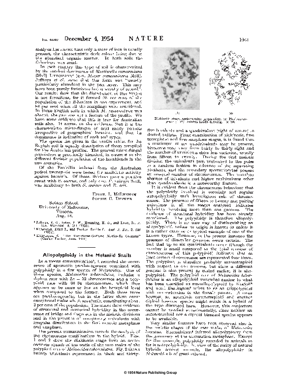 (PDF) Allopolyploidy in the Melaniid Snails