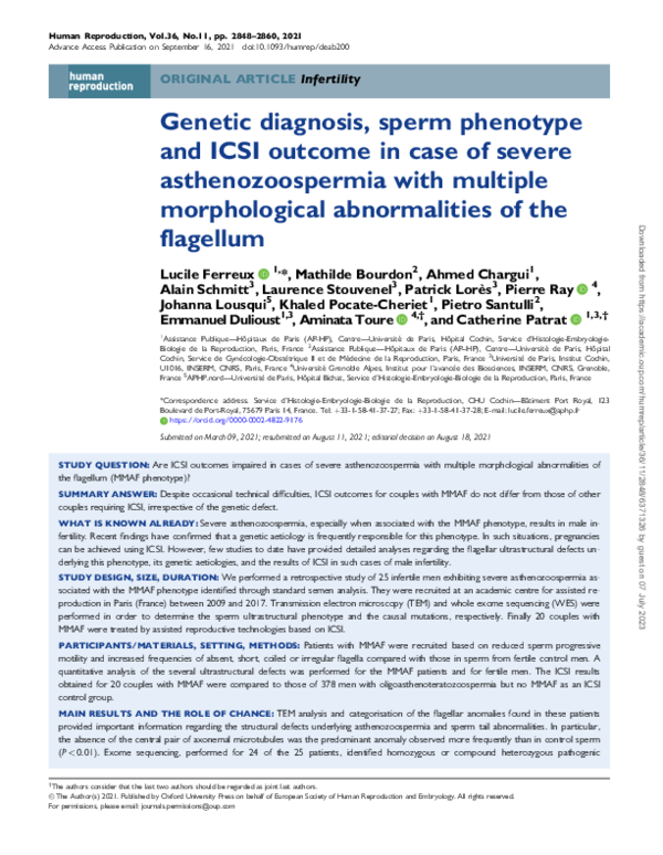 (PDF) Genetic diagnosis, sperm phenotype and ICSI outcome in case of ...