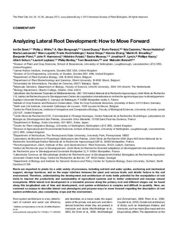 (PDF) Analyzing Lateral Root Development: How to Move Forward