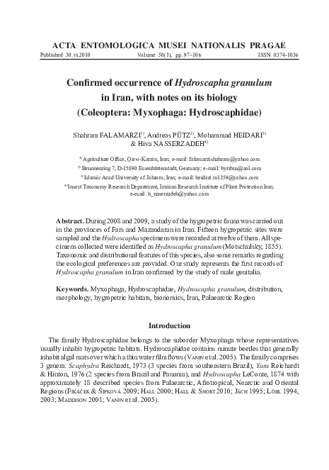 (PDF) Confirmed occurrence of Hydroscapha granulum in Iran, with notes ...