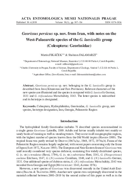 (PDF) Georissus persicus sp. nov. from Iran, with notes on the West ...