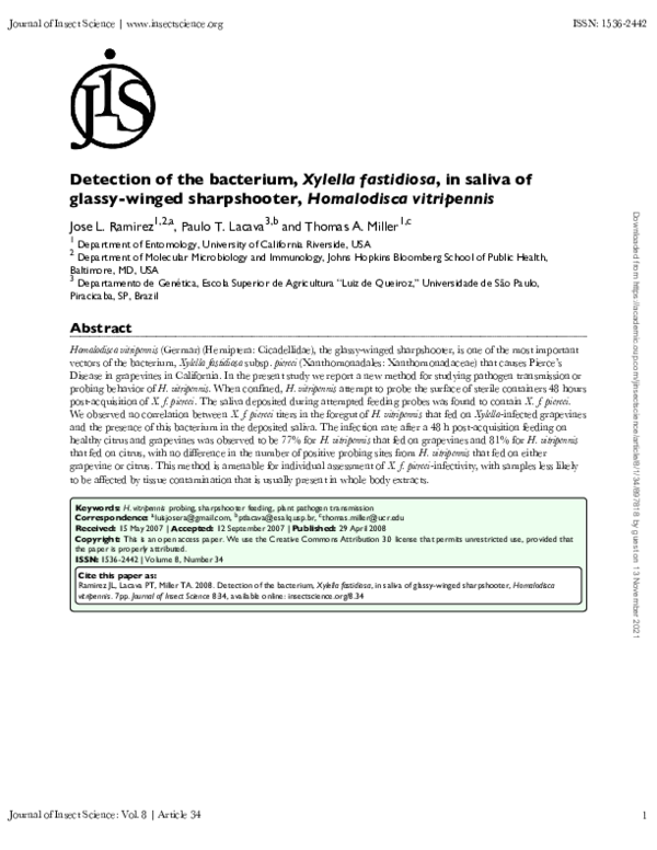(PDF) Detection of the Bacterium, Xylella fastidiosa , in Saliva of Glassy-Winged Sharpshooter ...