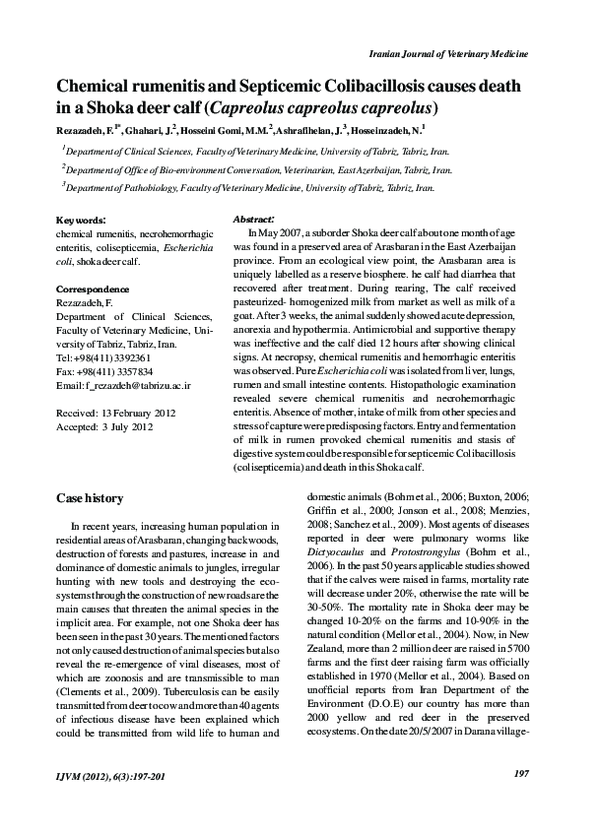 (PDF) Chemical rumenitis and Septicemic Colibacillosis causes death in ...