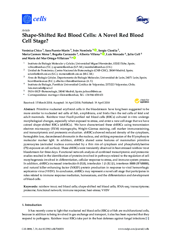 (PDF) Shape-Shifted Red Blood Cells: A Novel Red Blood Cell Stage?