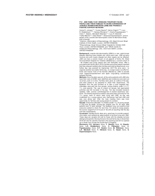 (PDF) P12 JDM Family Day: Bringing together young people and their ...