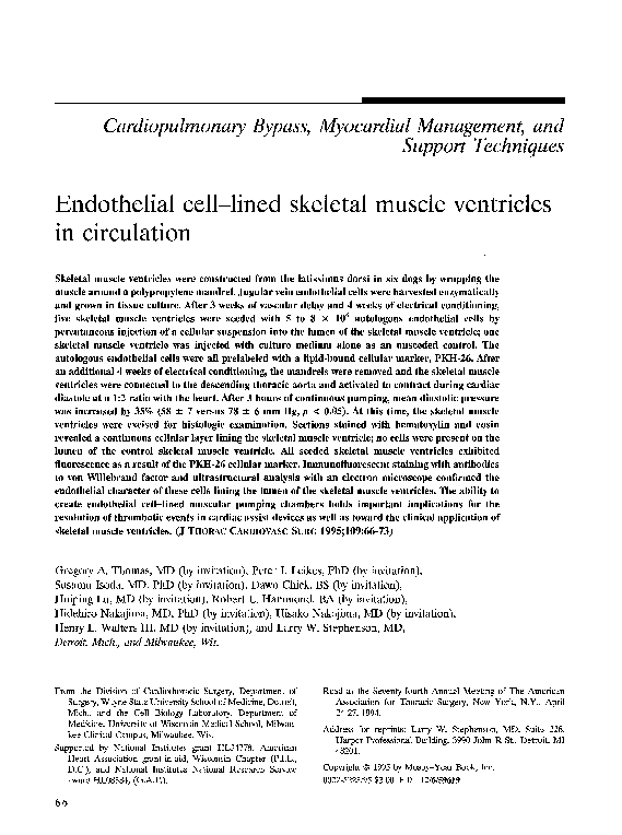 (PDF) Endothelial cell–lined skeletal muscle ventricles in circulation