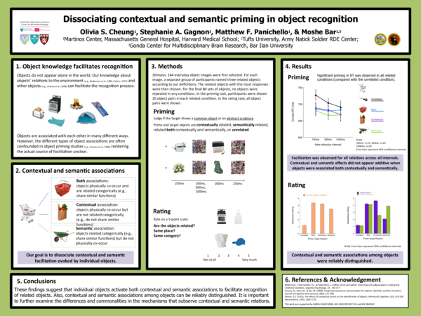 (PDF) Dissociating contextual and semantic priming in object recognition