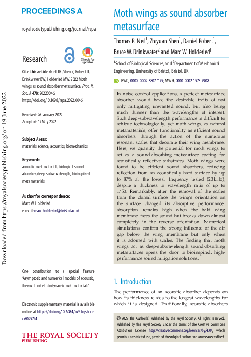 (PDF) Moth wings as sound absorber metasurface