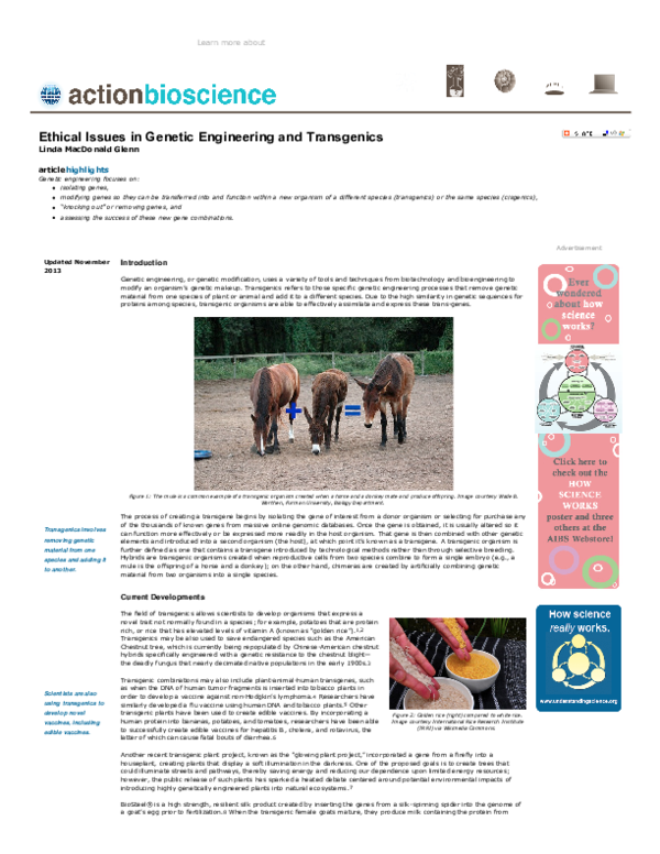 (PDF) Ethical Issues in Genetic Engineering and Transgenics