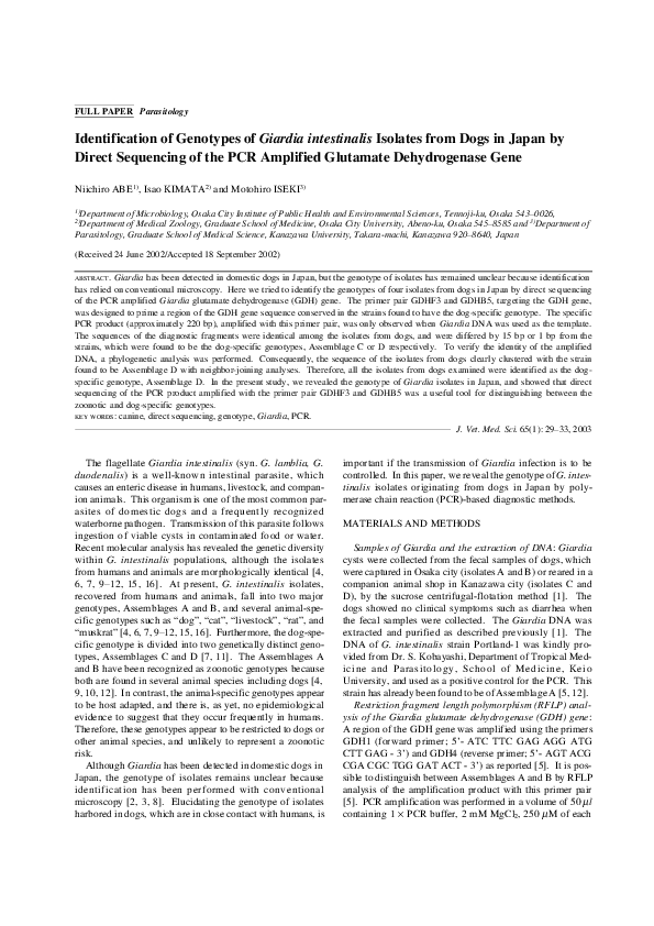 (PDF) Identification of Genotypes of Giardia intestinalis Isolates from ...