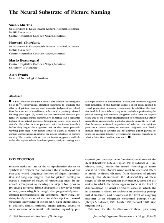 (PDF) The Neural Substrate of Picture Naming