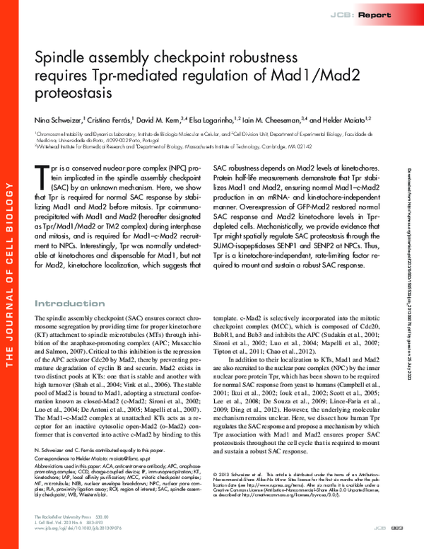 (PDF) Spindle assembly checkpoint robustness requires Tpr-mediated ...
