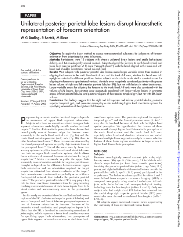 (PDF) Unilateral posterior parietal lobe lesions disrupt kinaesthetic ...