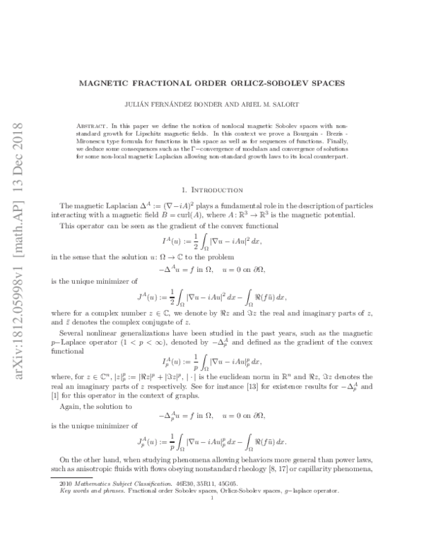 (PDF) Magnetic fractional order Orlicz–Sobolev spaces
