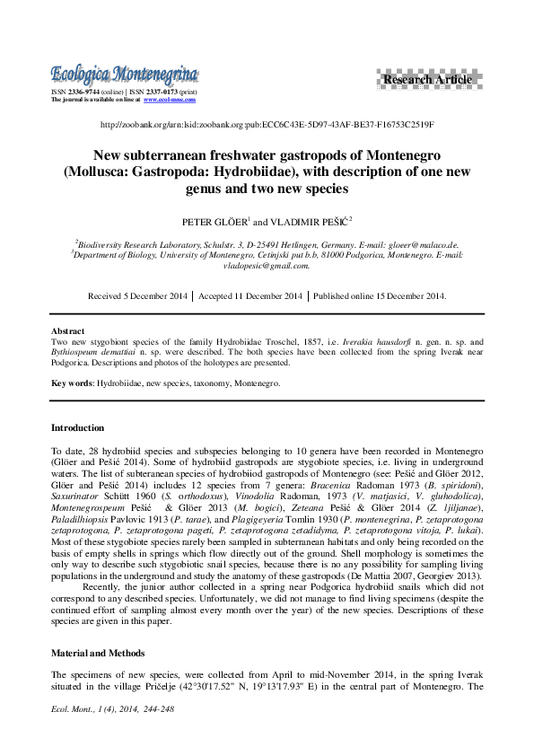 (PDF) New Subterranean Freshwater Gastropods of Montenegro (Mollusca: Gastropoda: Hydrobiidae ...