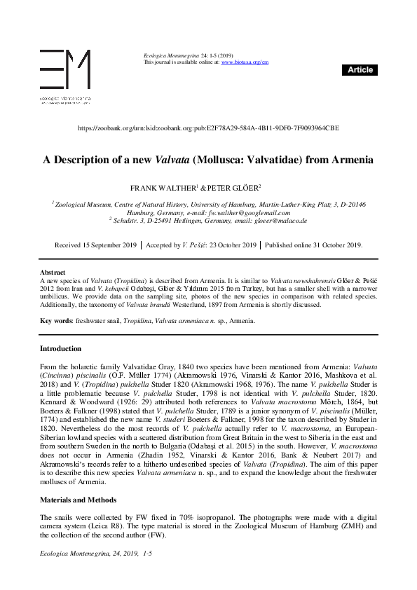 (PDF) A Description of a new Valvata (Mollusca: Valvatidae) from Armenia