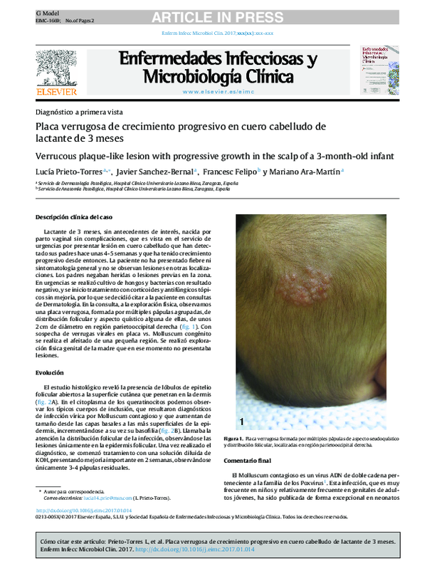 Verrucous plaque-like lesion with progressive growth in the scalp of a ...