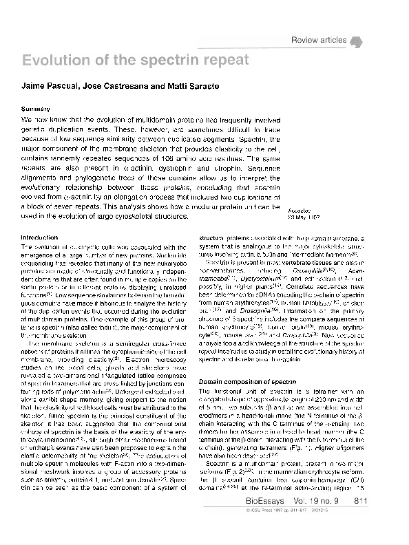 (PDF) Evolution of the spectrin repeat