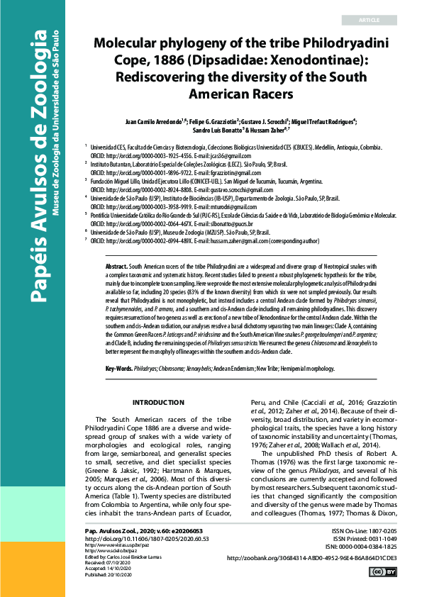 (PDF) Molecular phylogeny of the tribe Philodryadini Cope, 1886 ...