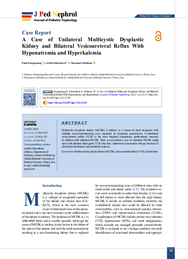 (PDF) A Case of Unilateral Multicystic Dysplastic Kidney and Bilateral ...