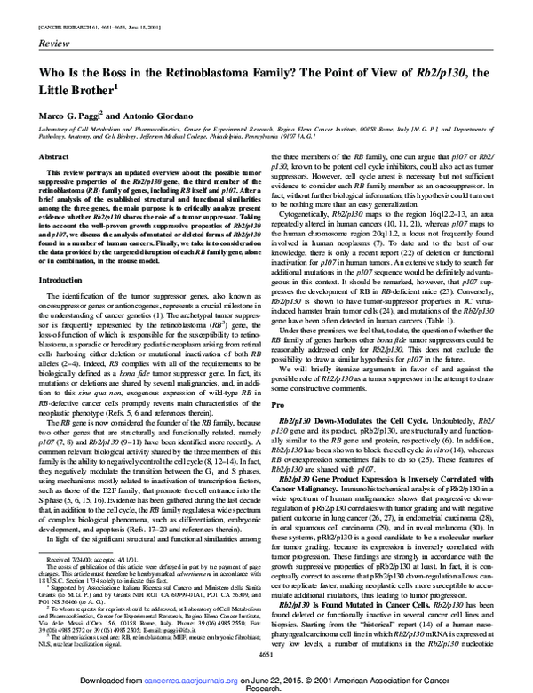 (PDF) Who is the boss in the retinoblastoma family? The point of view ...