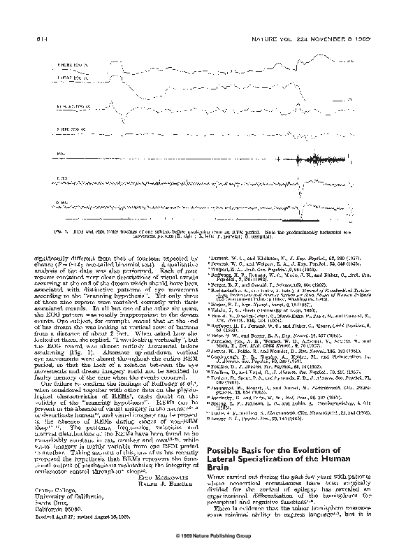 (PDF) Possible Basis for the Evolution of Lateral Specialization of the ...